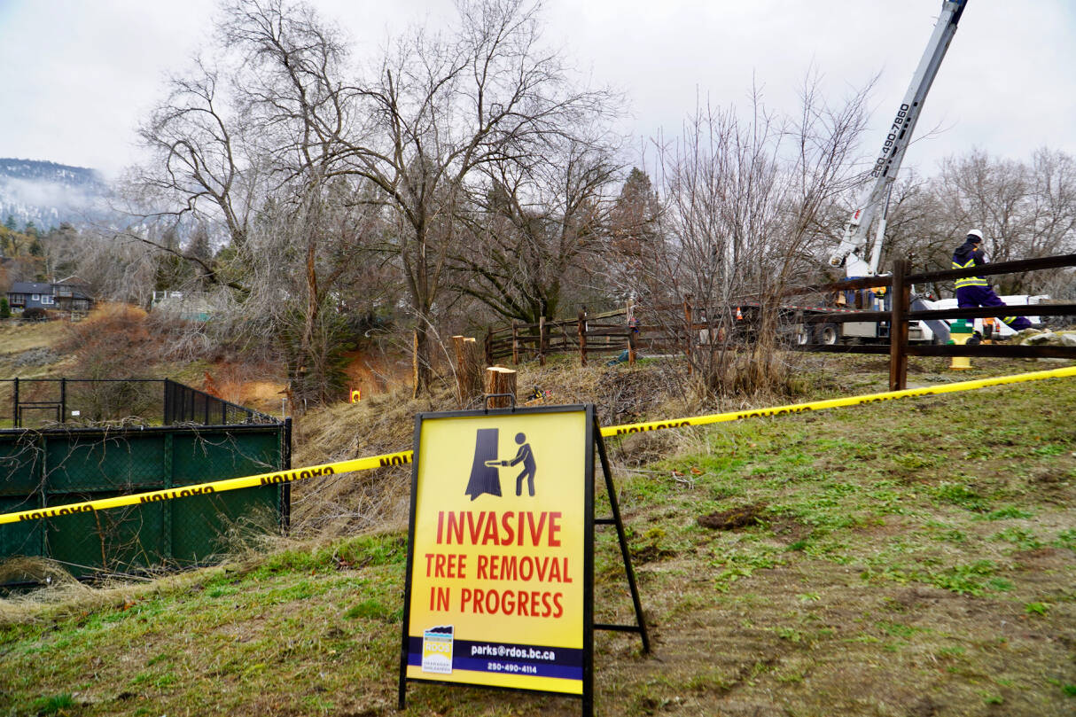 Regional District of Okanagan-Similkameen approves push for crackdown ...